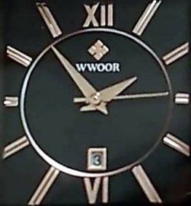 Carnival Watches: History and Reviews - Are They Good? | Relojes.Wiki